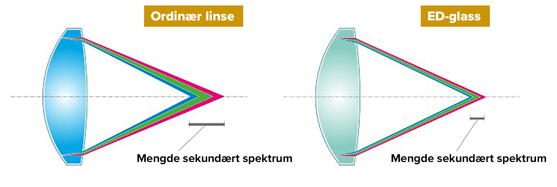 Kikkertguide – hvordan velge rett kikkert? - Teno Astro